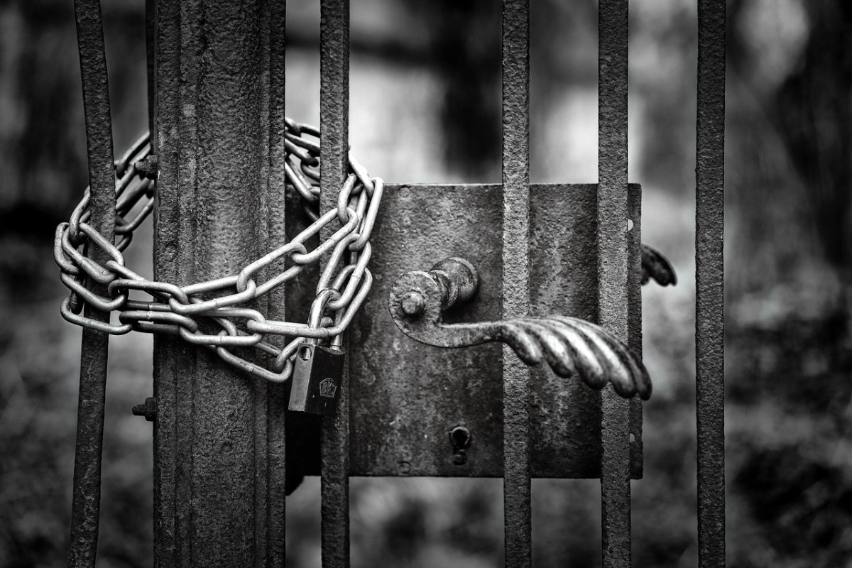 DHL 2024 & 2025 price change timeline and analysis - Threecolts Blog